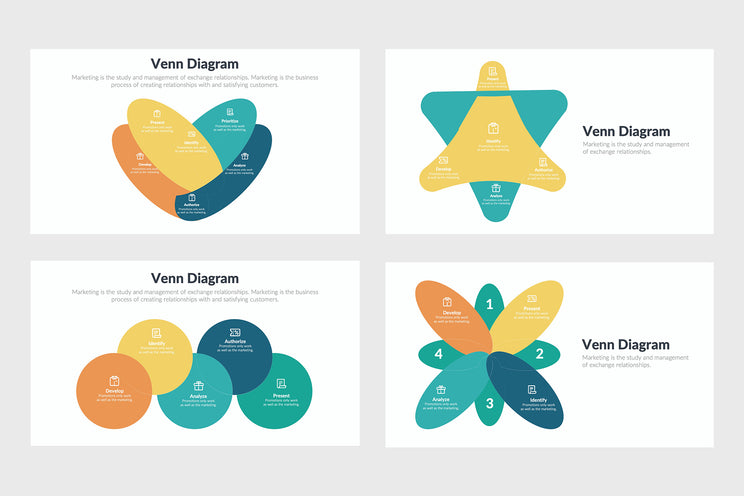 Infographic Venn Diagram