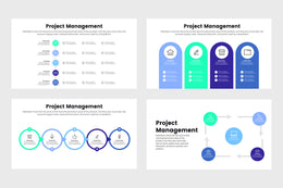 Project Management Infographics – infograpify