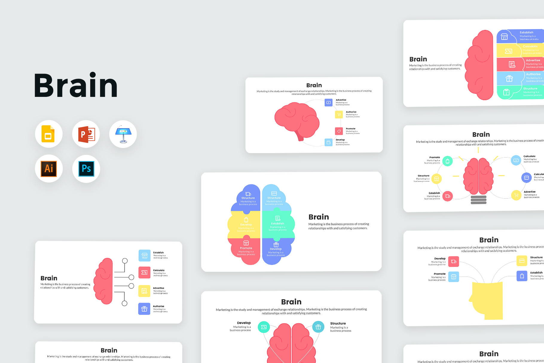3500+ Infographic Design Templates + Free Updates – infograpify