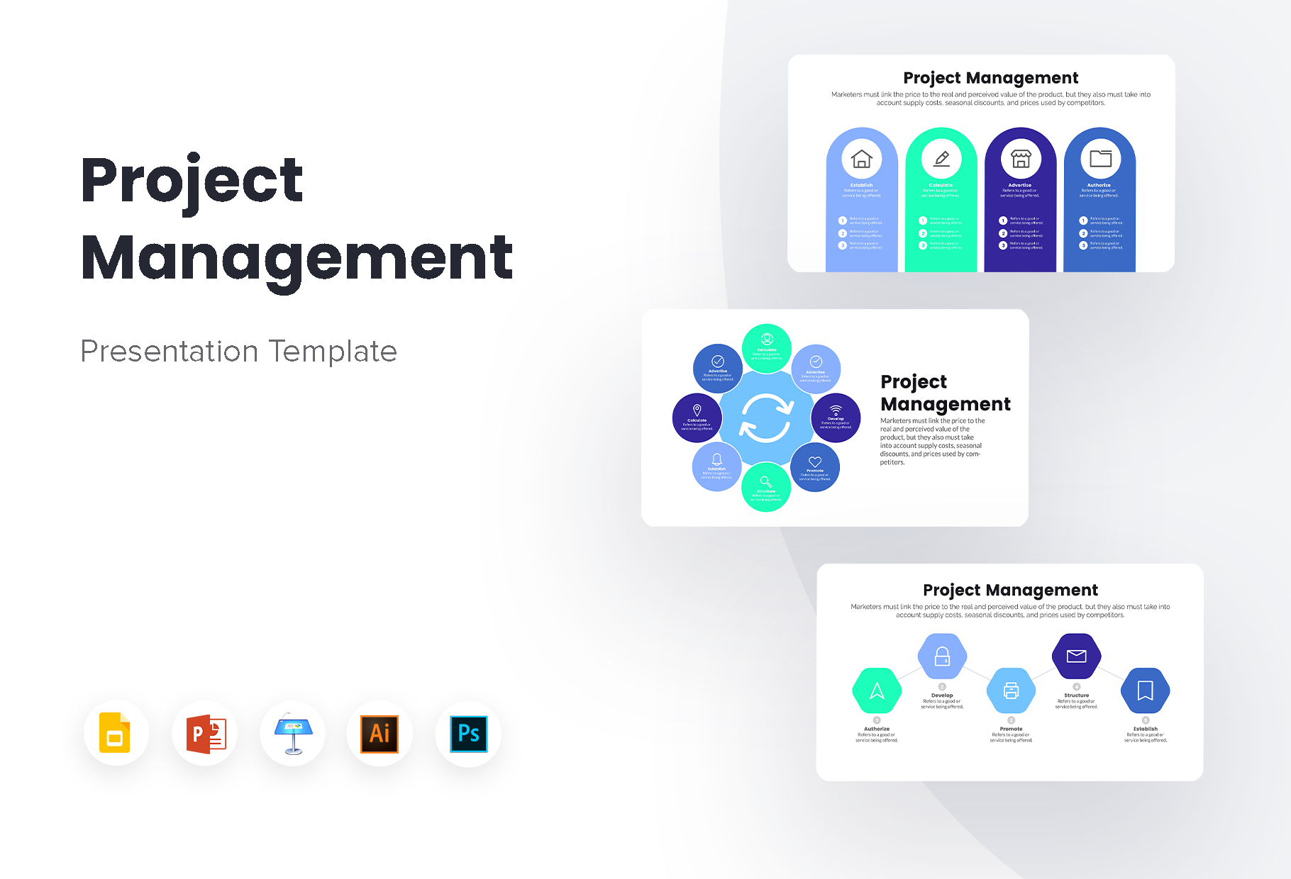 Project Management Infographics – infograpify
