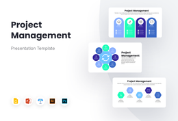 Project Management Infographics – infograpify